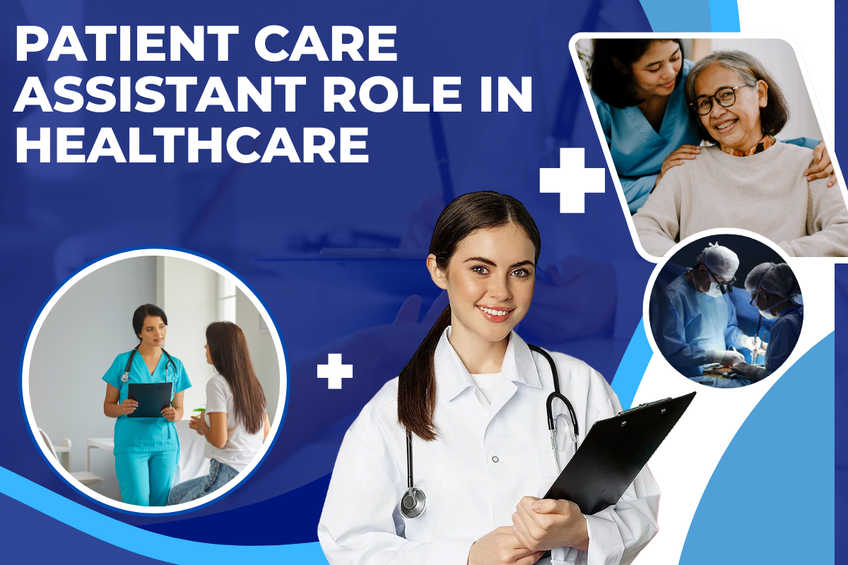 7 Main Duties to Discover What Is a PCA in Healthcare Their Role